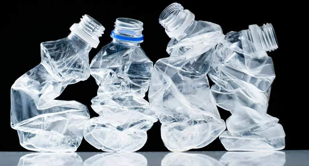 Dolce & Gabbana y otras marcas famosas con diseños inspirados en basura ...